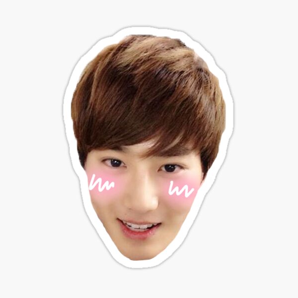 "EXO SUHO" Sticker for Sale by jellycactus | Redbubble