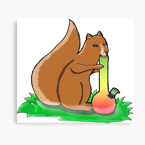 "Smoking Squirrel" Canvas Print for Sale by SpockJenkins | Redbubble