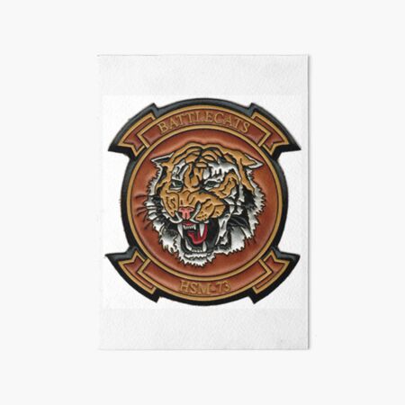 "US Navy Helicopter Maritime Strike Squadron 73 (HSM-73) Battlecats ...