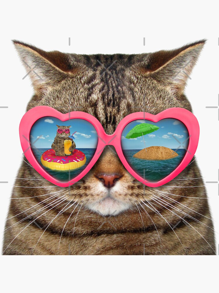 "Funny summer cat meme" Sticker for Sale by Tanuja Sharma | Redbubble