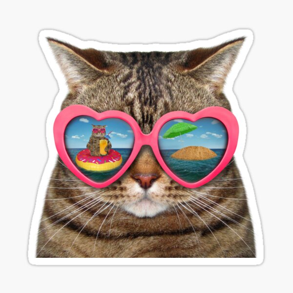 "Funny summer cat meme" Sticker for Sale by Tanuja Sharma | Redbubble