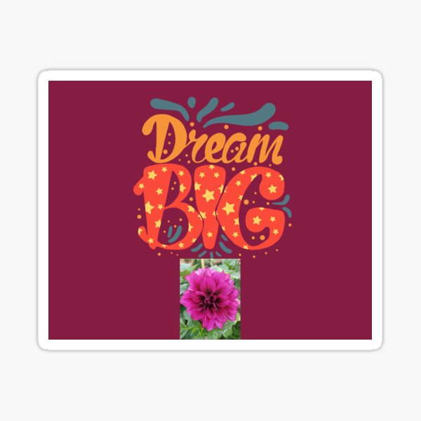 "Dream Big Designs " Sticker by BinishImran07 | Redbubble