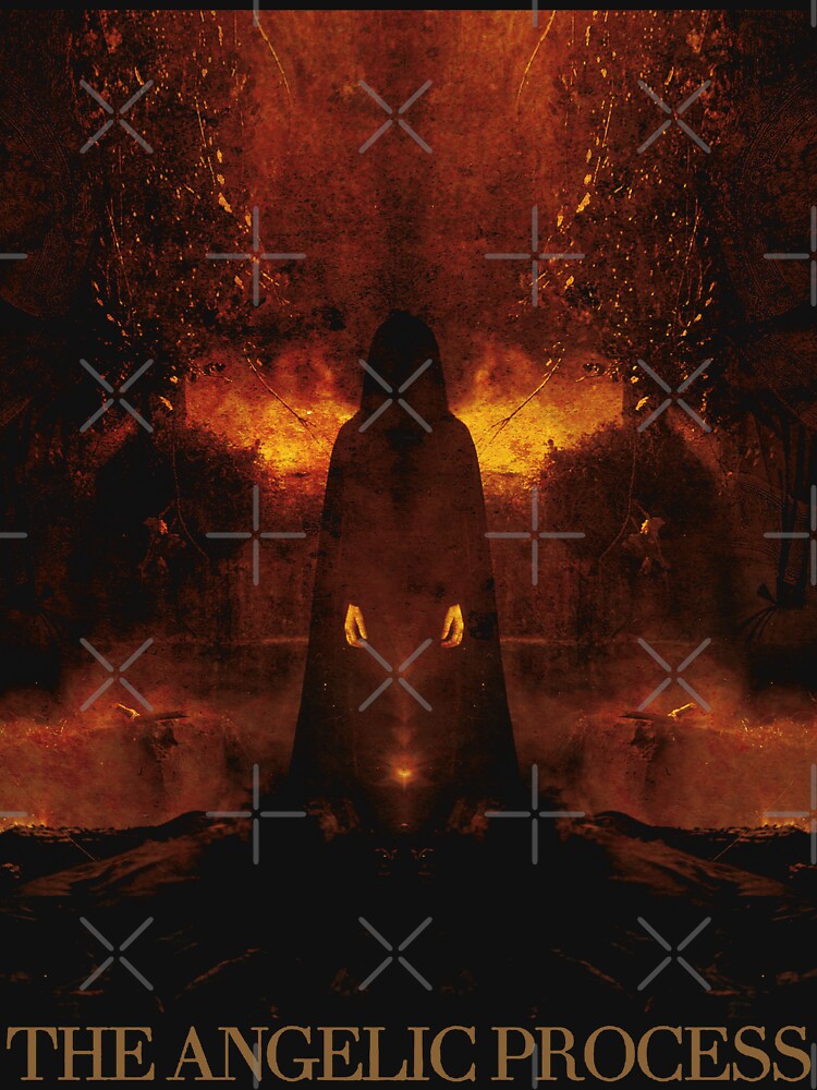 "The Angelic Process" Essential T-Shirt for Sale by SOOG | Redbubble