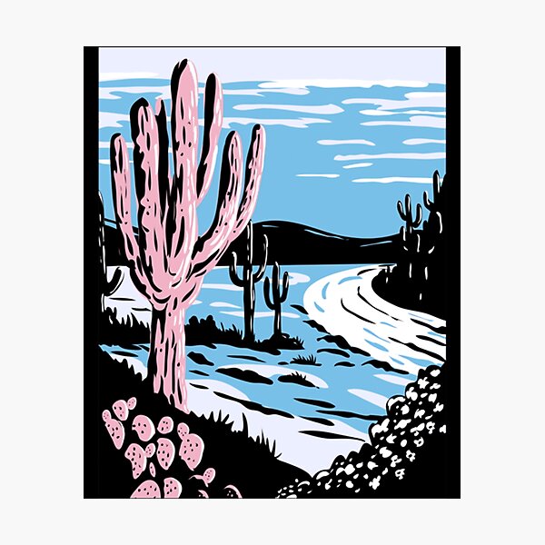 "Subtle Transgender Pride Desert Scenery, Aesthetic Discreet Trans ...