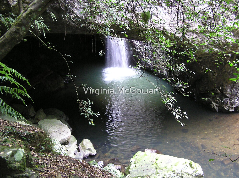 "Natural Arch Numinbah Valley Qld" by Virginia McGowan | Redbubble