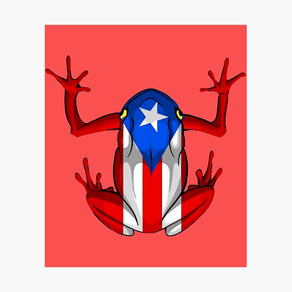 "coqui taino, puerto rican boricua taino" Photographic Print for Sale ...