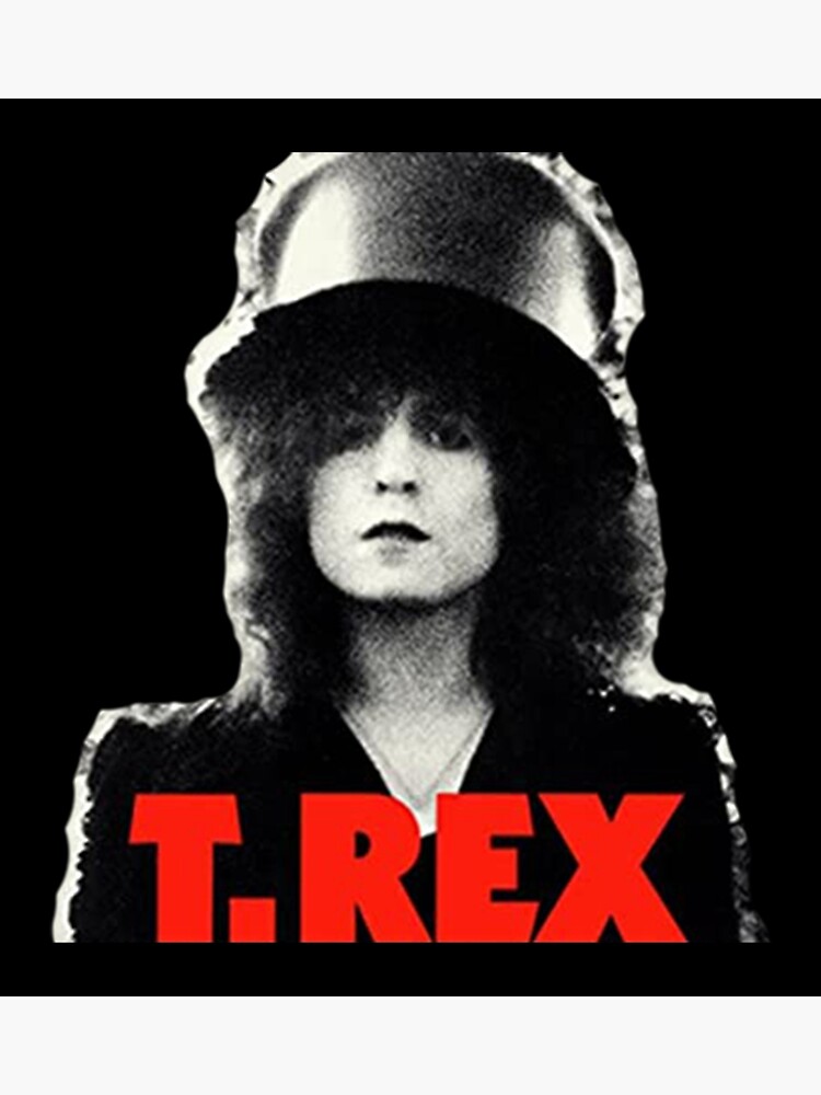 "T REX MUSIC ARTWORK" Poster for Sale by forall012 | Redbubble