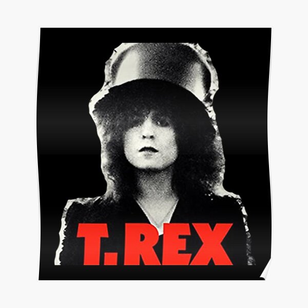 "T REX MUSIC ARTWORK" Poster for Sale by forall012 | Redbubble