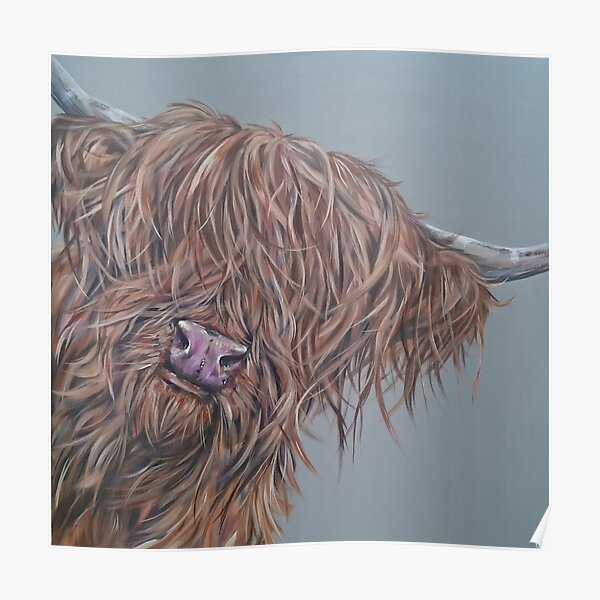 "Cooey! Highland cow, Heilan Scottish coo art by award-winning UK ...