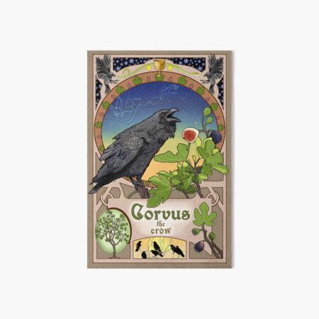 "Black Crow and Figs Constellation Corvus and Hydra" Art Board Print by ...