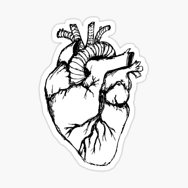 "the human heart" Sticker by christyluddy | Redbubble