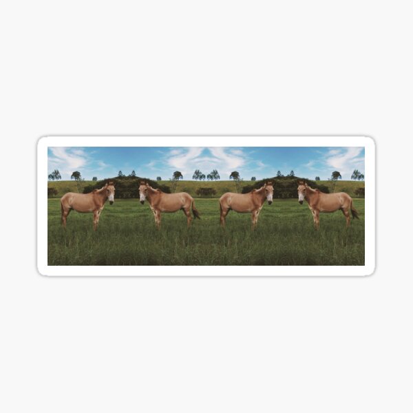 "Donkey - Animal" Sticker for Sale by anafrancisconi | Redbubble