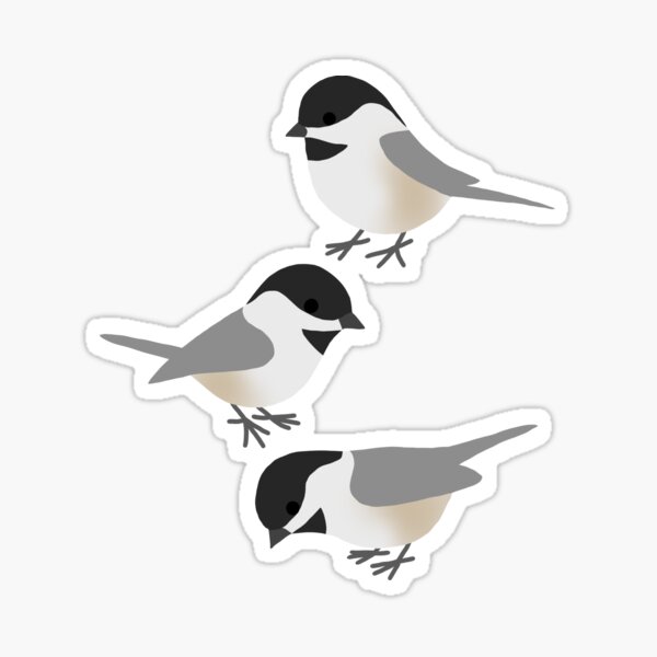 "Birds Funny Chickadees" Sticker by alwe-designs | Redbubble