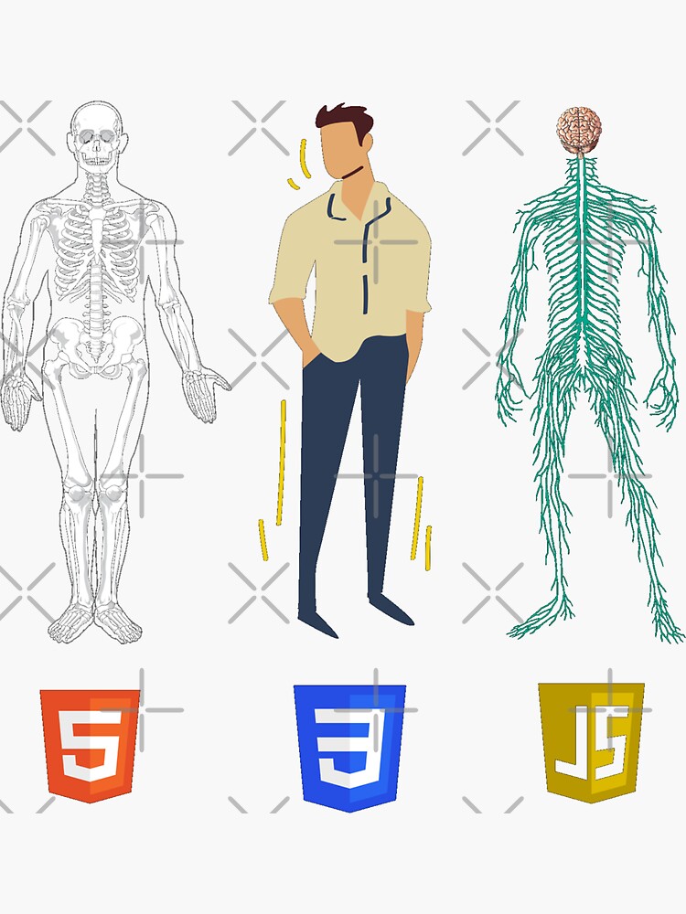 "Website structure - HTML CSS JS" Sticker by ScarecrowDesign | Redbubble