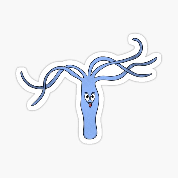 "Cute hydra" Sticker by BlueberryFig | Redbubble