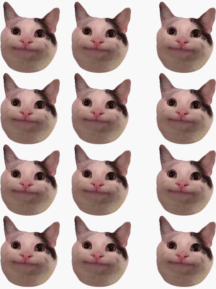 "Beluga Cat Pattern " Sticker by ThekidsplaceS99 | Redbubble