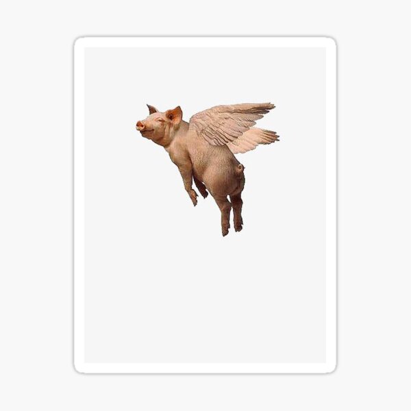 "Flying pig" Sticker by sevinjmm | Redbubble