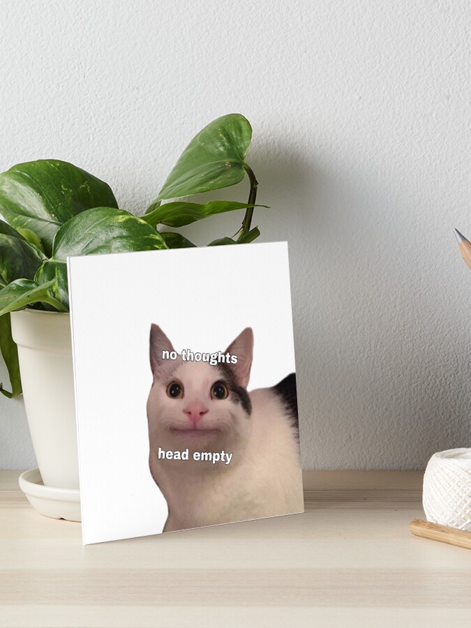 "Cat meme, no thoughts head empty " Art Board Print for Sale by ...