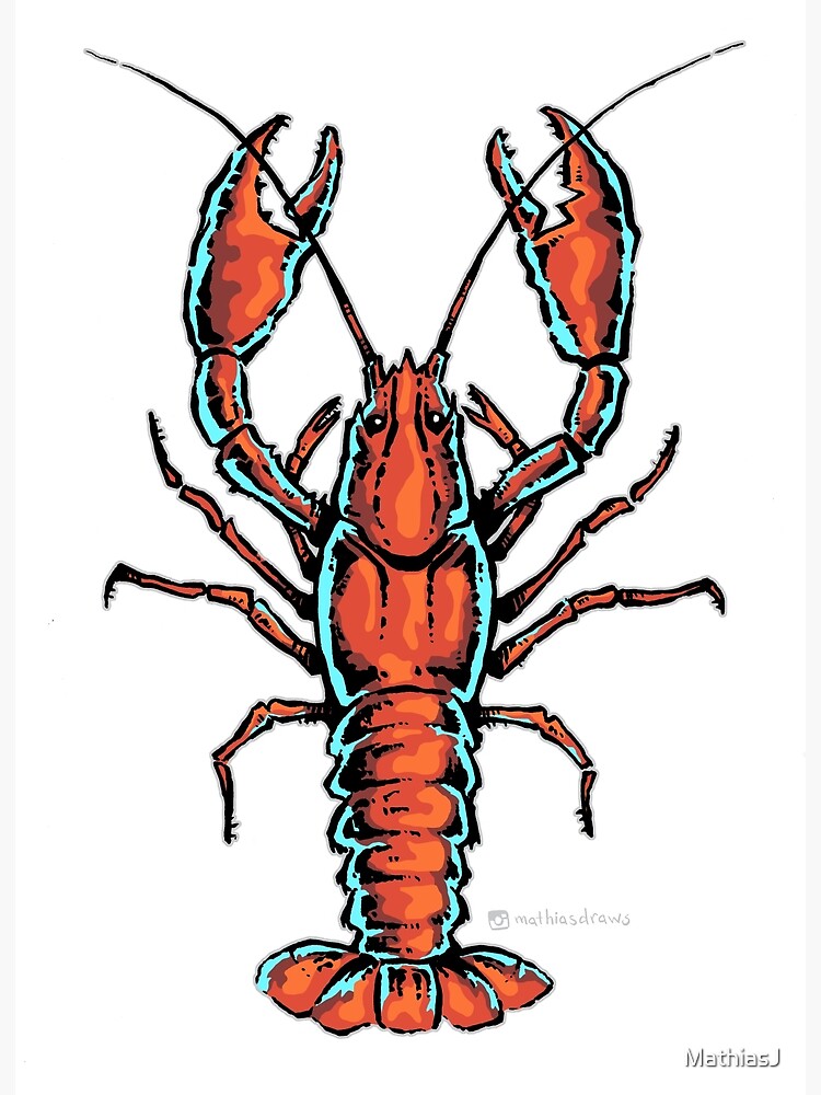 "Crayfish" Poster for Sale by MathiasJ | Redbubble
