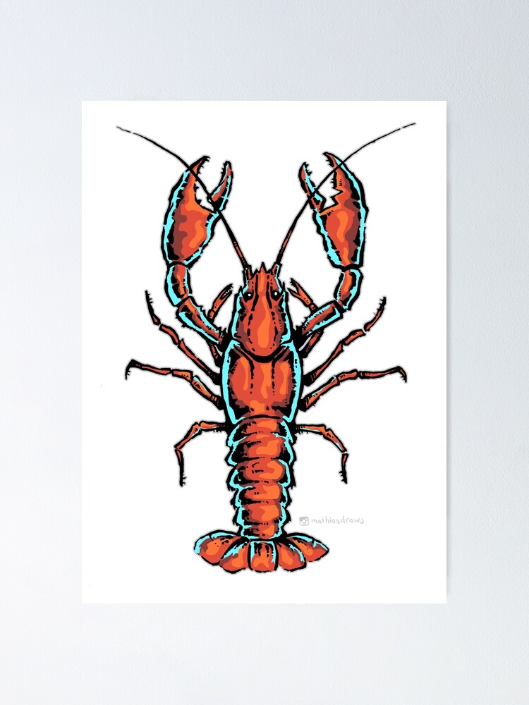 "Crayfish" Poster for Sale by MathiasJ | Redbubble