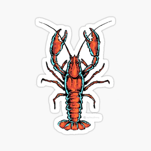 "Crayfish" Sticker by MathiasJ | Redbubble
