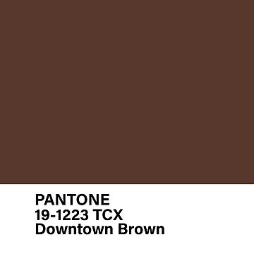 "PANTONE 19-1223 TCX Downtown Brown" Art Print for Sale by princessmi ...