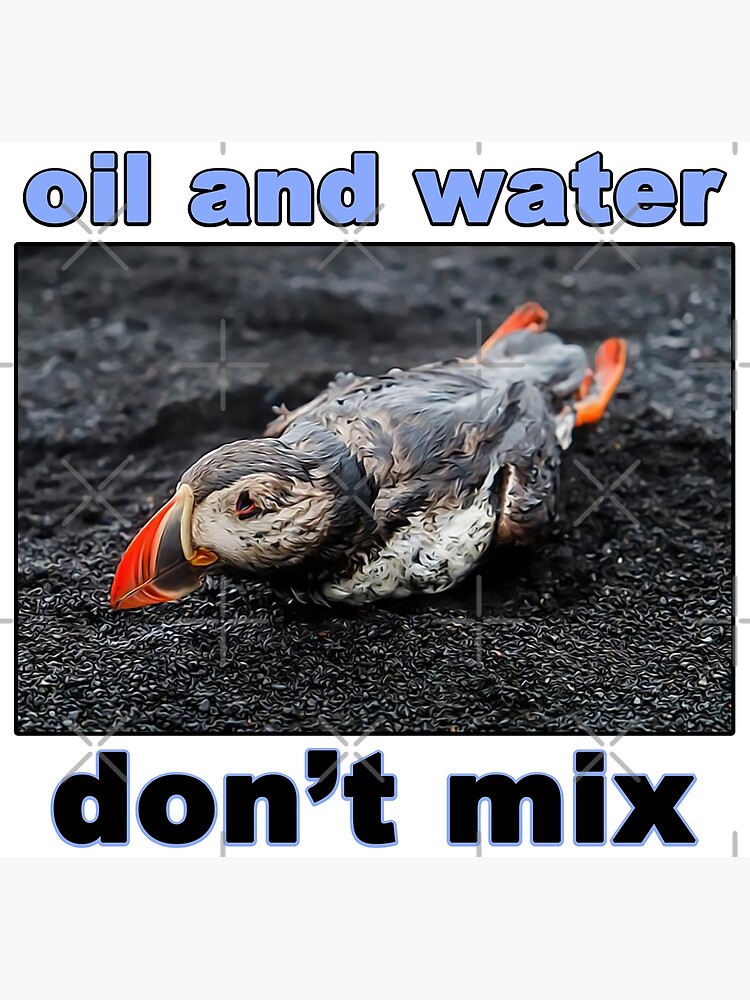 "Oil and water don't mix (oil slick puffin)" Poster by mywifesidea ...