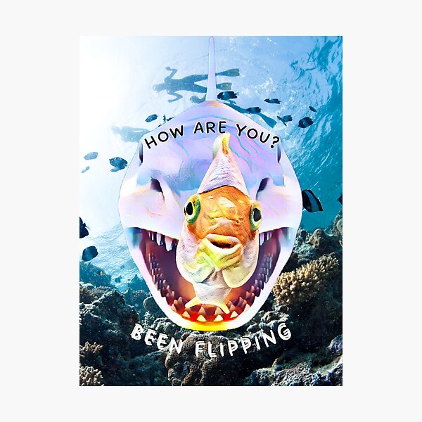 Lámina fotográfica «¿Cómo estás ... estado volteando Meme de humor ...