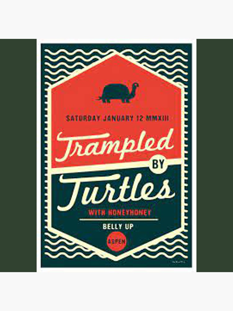"turtles band from minnesota poster art" Sticker by fold776 | Redbubble