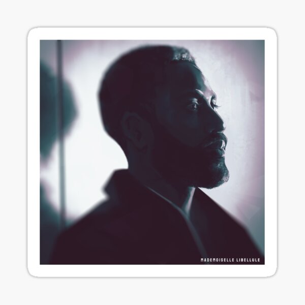 "Tenet / The Protagonist" Sticker by MlleLibellule | Redbubble