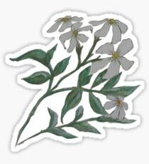 Jasmine Stickers | Redbubble