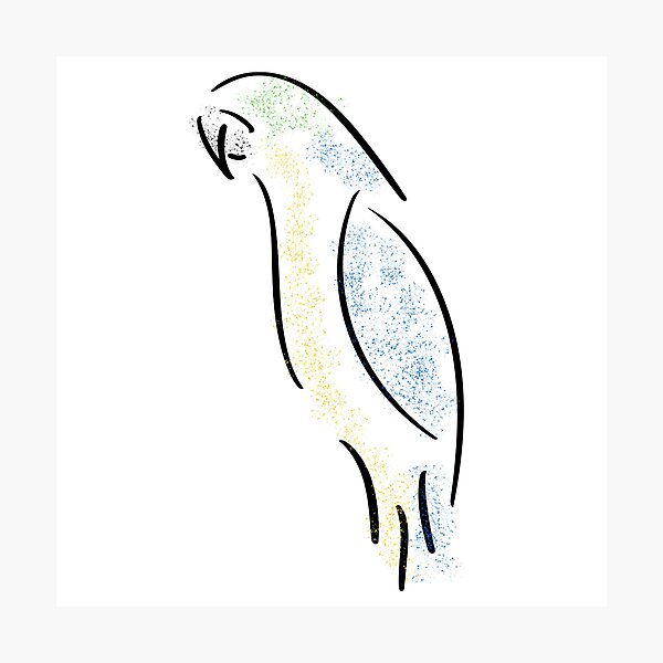 "Papagei / Ara Line Art - Minimalistisch mit Farbklecksen" Fotodruck ...
