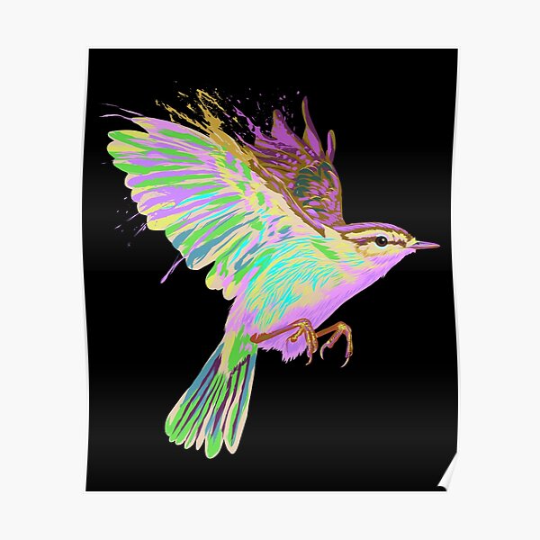 "Colorful Splash Flying Bird Warbler" Poster for Sale by alwe-designs ...