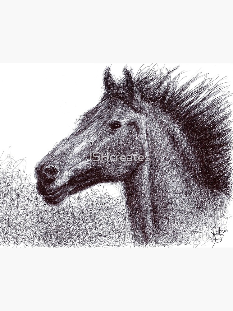 Scribble Horse Designs at Jake Fowles blog