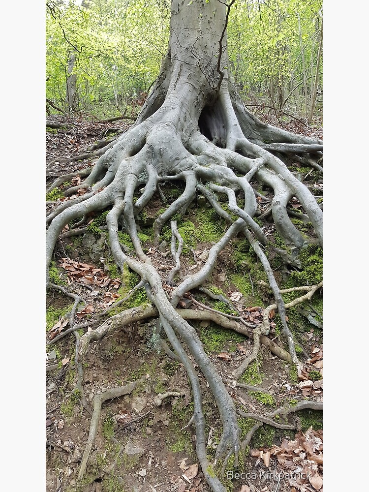 "Rooted" Poster by beccakirkp | Redbubble