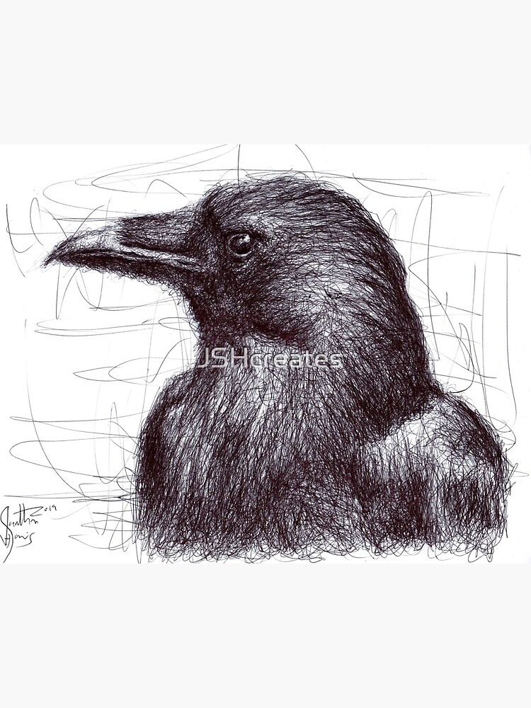 "Rabe Zeichnung Poster | Realistische Scribble-Skizze mit einem ...