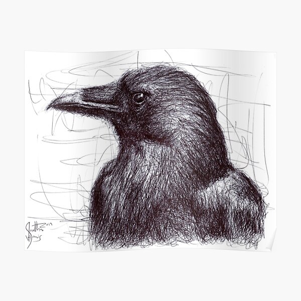 "Rabe Zeichnung Poster | Realistische Scribble-Skizze mit einem ...