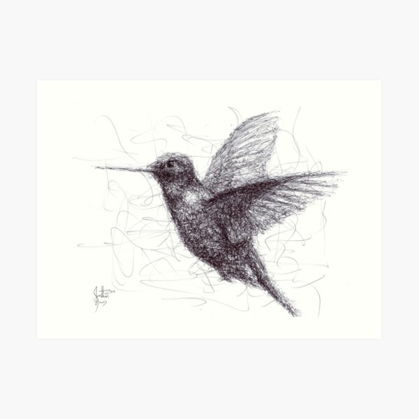Impression artistique « Affiche de dessin de colibri | Esquisse ...