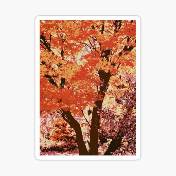 "Autumn maple tree illustration" Sticker by CuriousBear | Redbubble