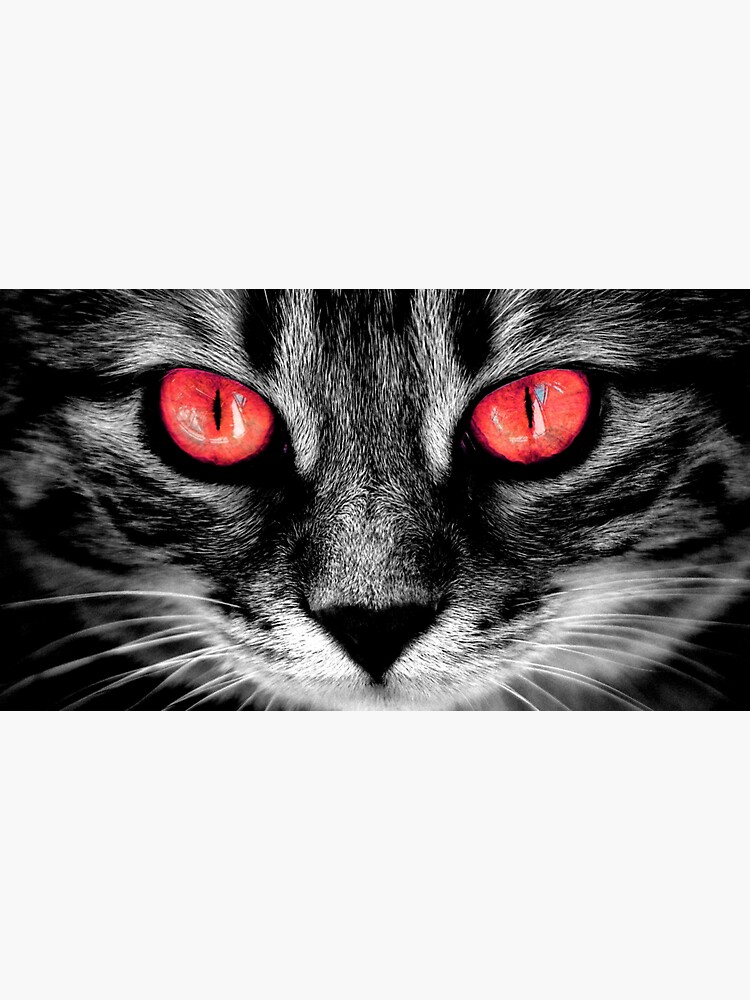 "devil cat" Sticker by PBLLZ | Redbubble