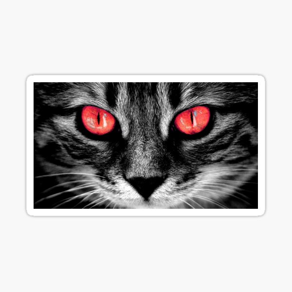 "devil cat" Sticker by PBLLZ | Redbubble