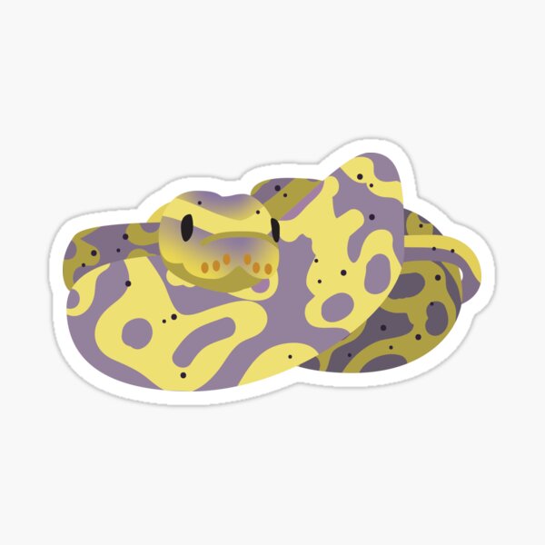 "Banana Ball Python" Sticker by Holtz-Exotics | Redbubble