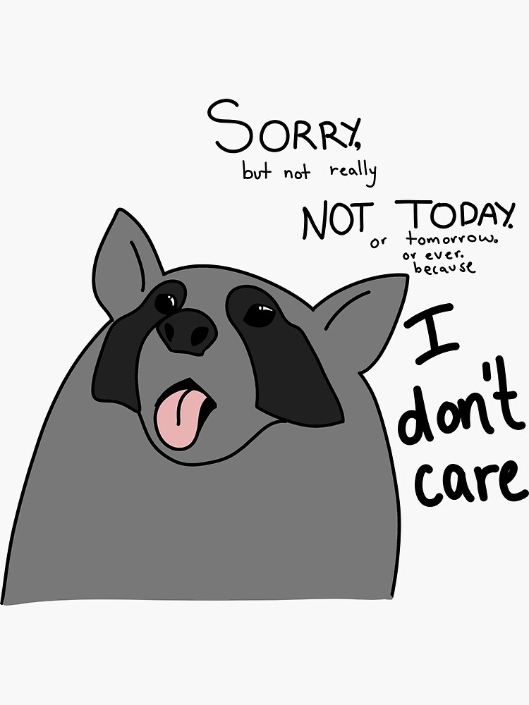 "Sorry, Not Today Raccoon" Sticker for Sale by Cookierookieoon | Redbubble