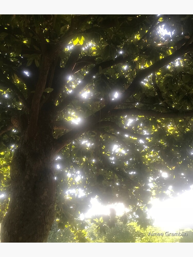"Magnolia Grandiflora Magic Tree" Art Print for Sale by AimeeGramblin ...
