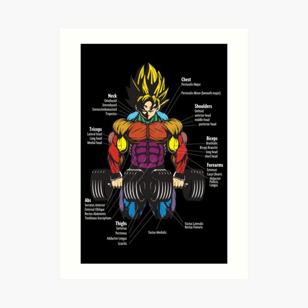 "Muscle Chart - Anatomy Diagram - Anime Gym Motivational" Art Print for ...