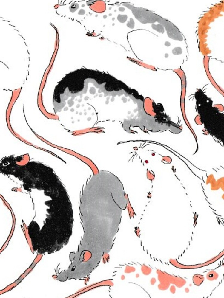 "Fancy Rats" iPhone Case for Sale by Zagreus | Redbubble