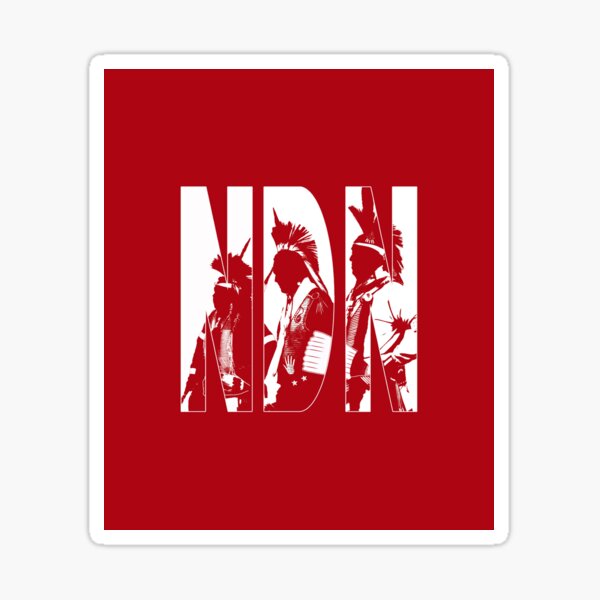 "Three Traditional and Authentic Native American Pow Wow Dancers ...