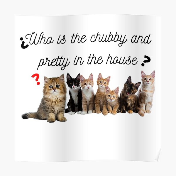 "Cat house, Many cats in the house. who is the chubby and pretty in de ...