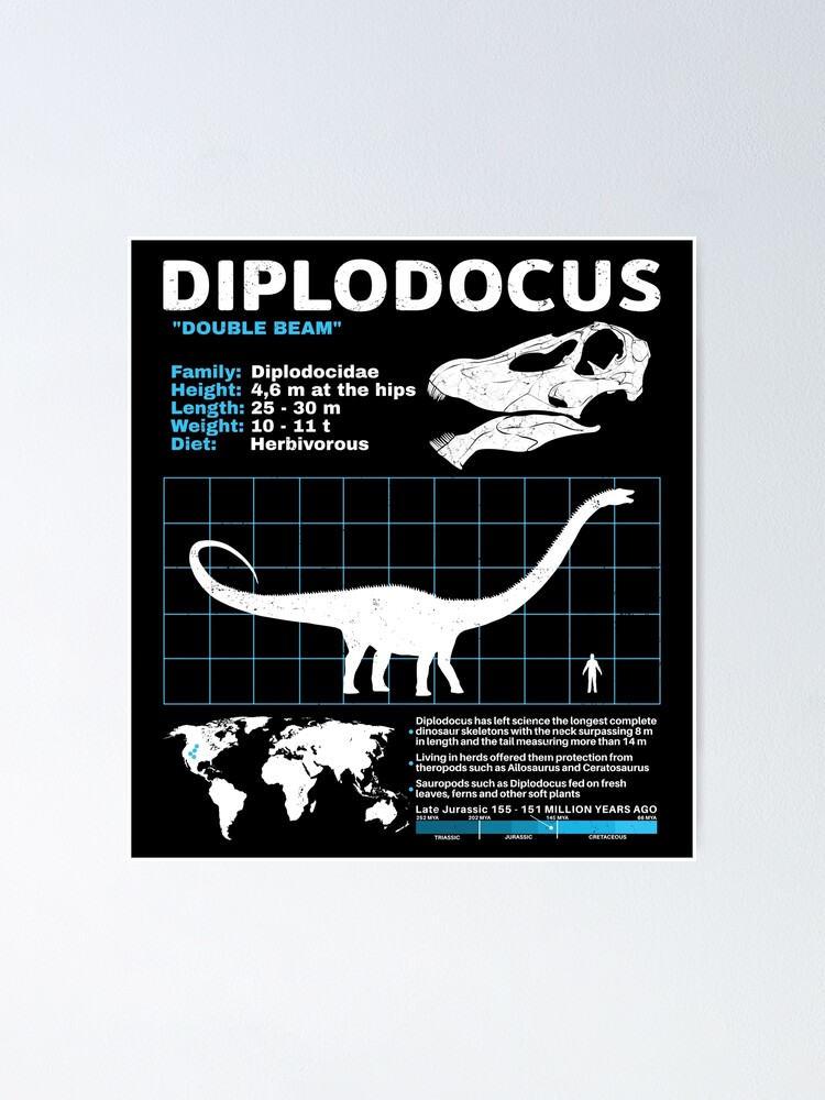 "Diplodocus data sheet" Poster by NicGrayGraphic | Redbubble