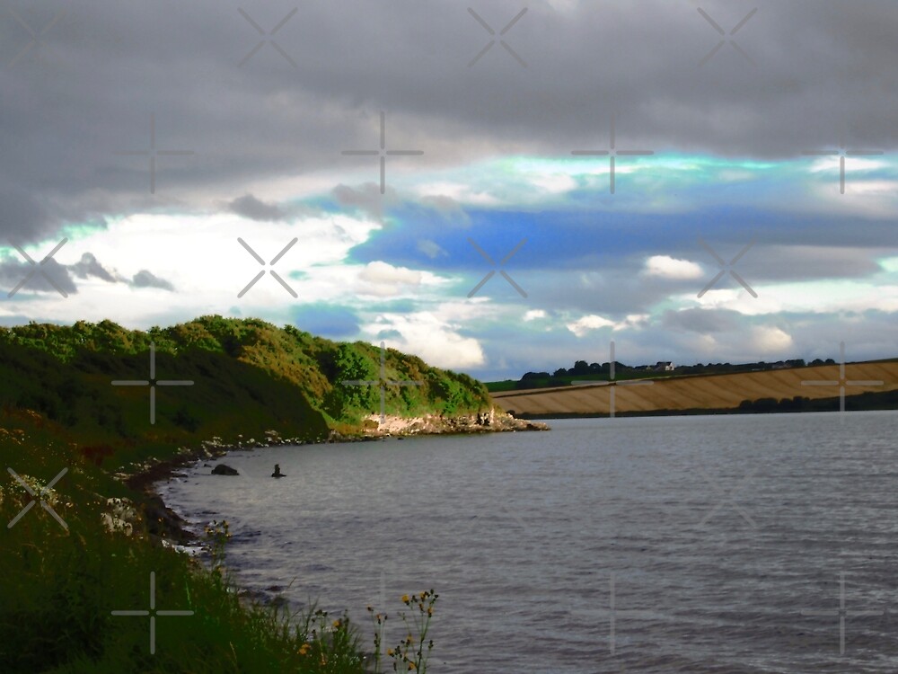 "Inch Island, Donegal, Ireland" by Shulie1 | Redbubble